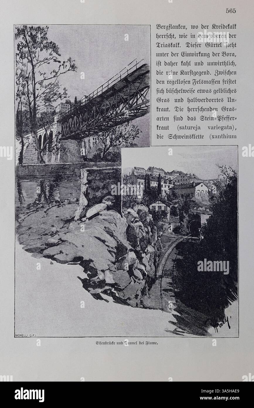 The Austro-Hungarian Monarchy in Word and Image, 1893, Budapest, Iron ...