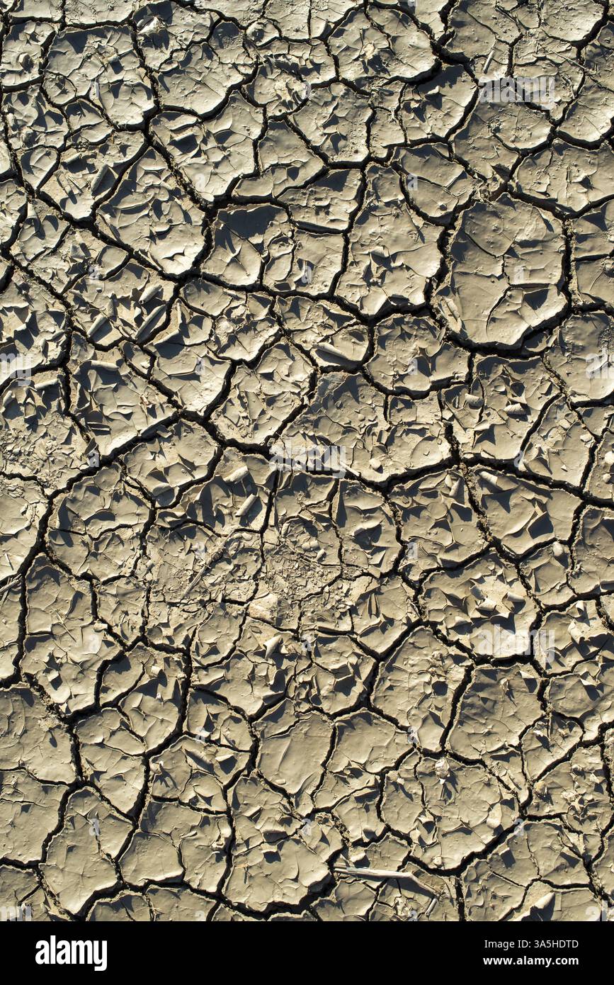 Cracked soil texture. Hard shadows and sun. Dried ground. Pattern of ...