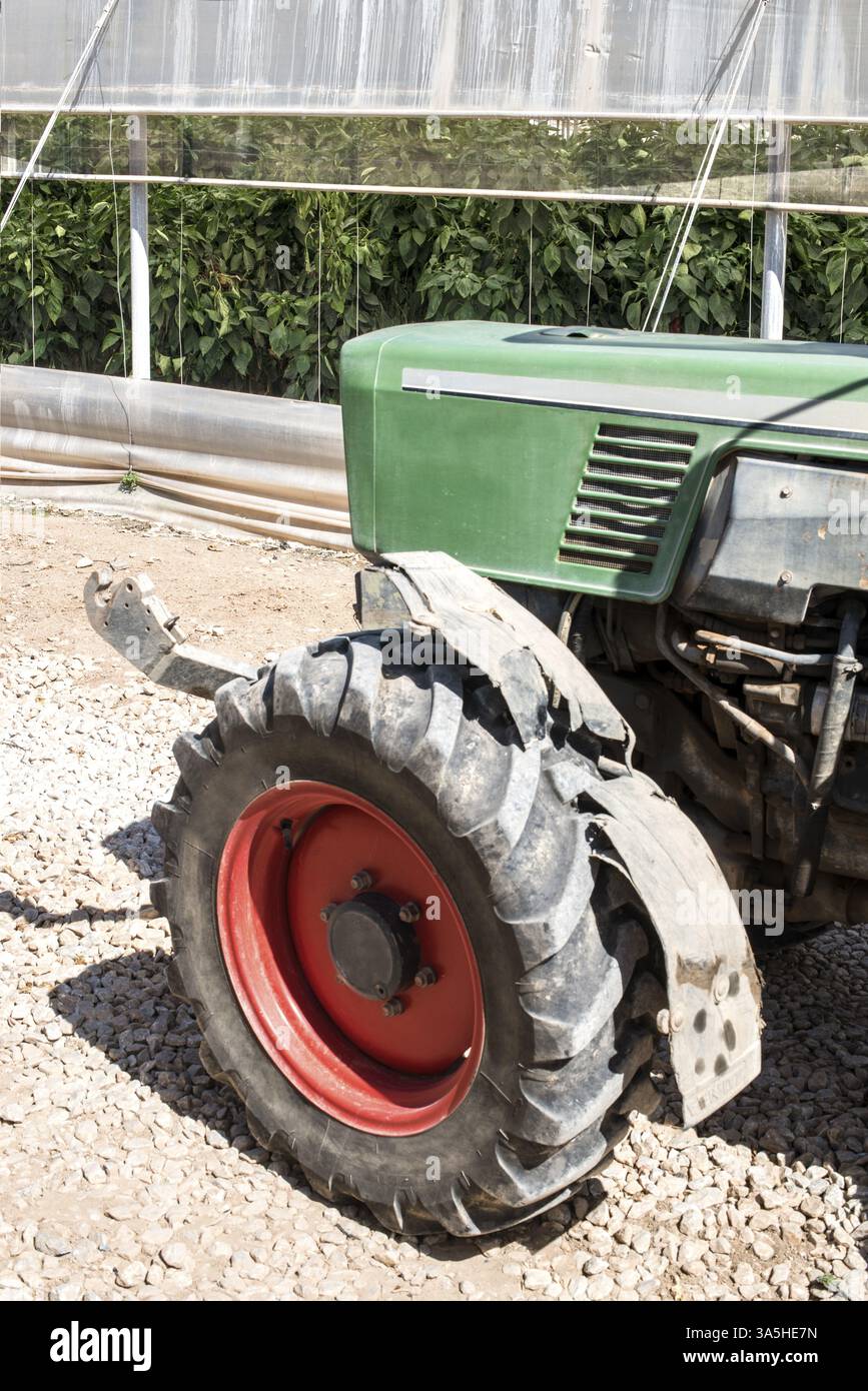 Tractor between greenhouses with peppers Stock Photo - Alamy