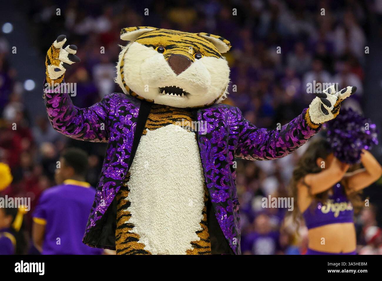 Baton Rouge, United States. 22nd Mar, 2025. LSU Lady Tigers mascot Mike ...