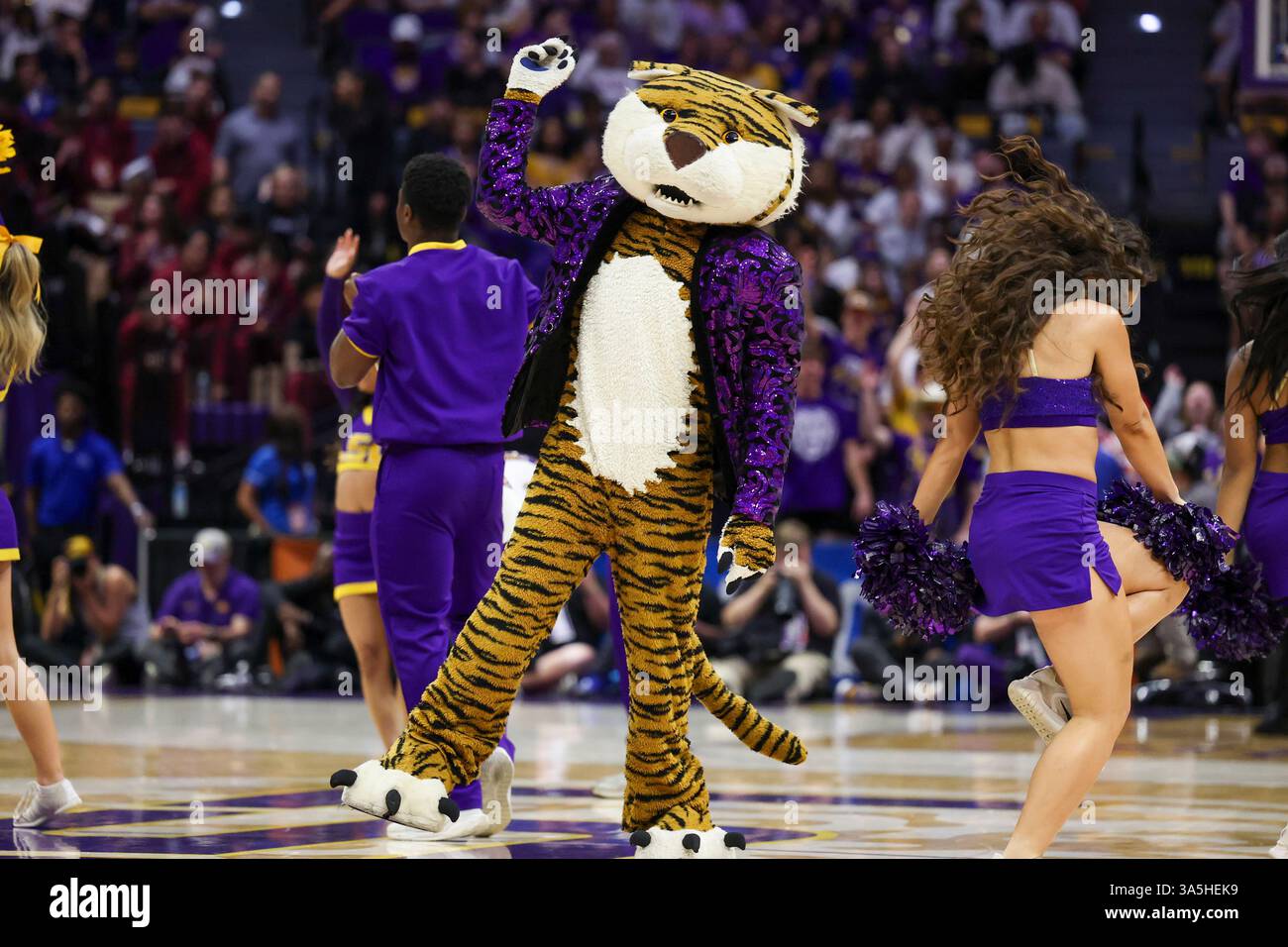 Baton Rouge, United States. 22nd Mar, 2025. LSU Lady Tigers mascot Mike ...