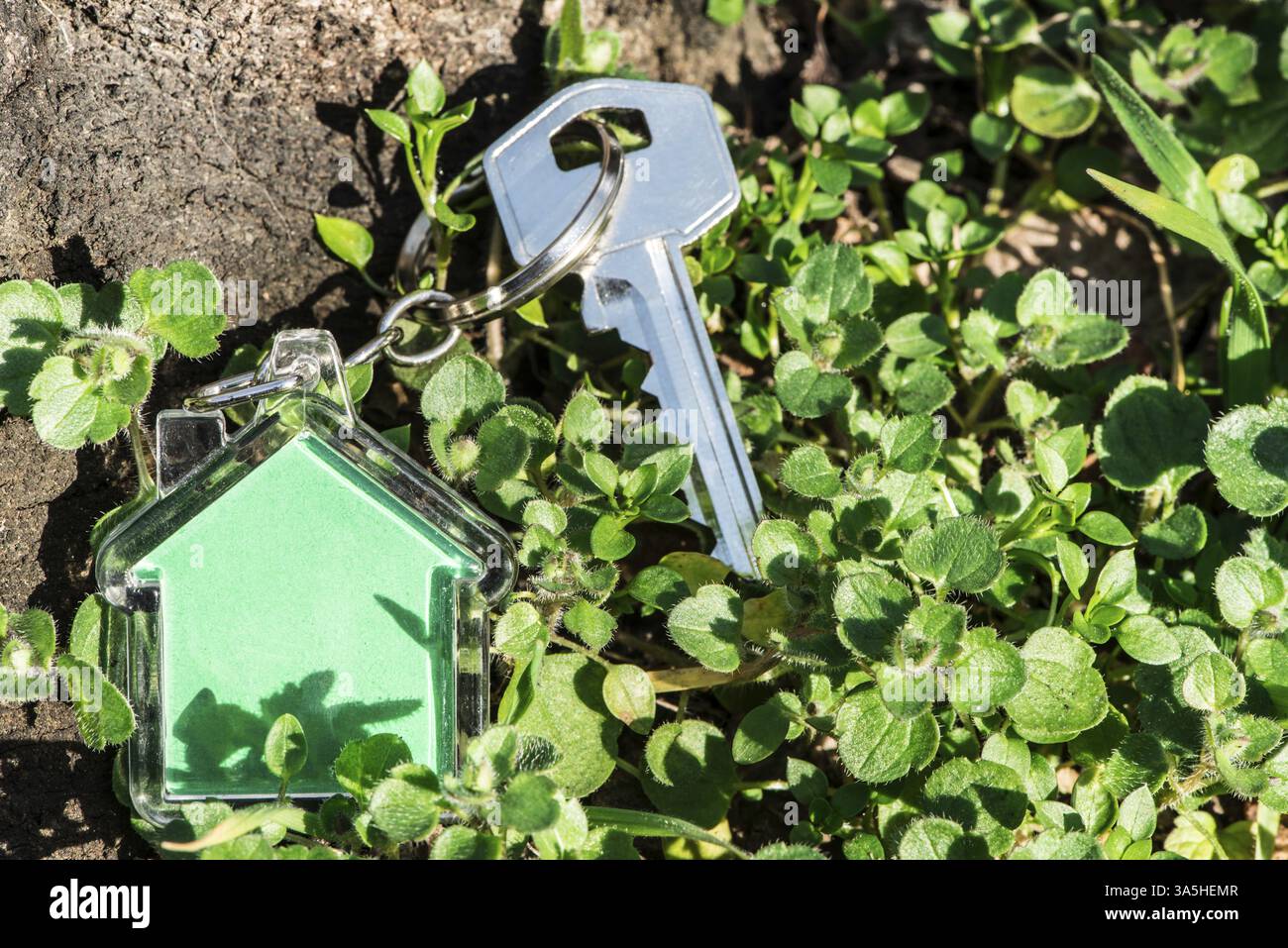 Shape of a house on grass and keys. Sun light Stock Photo - Alamy