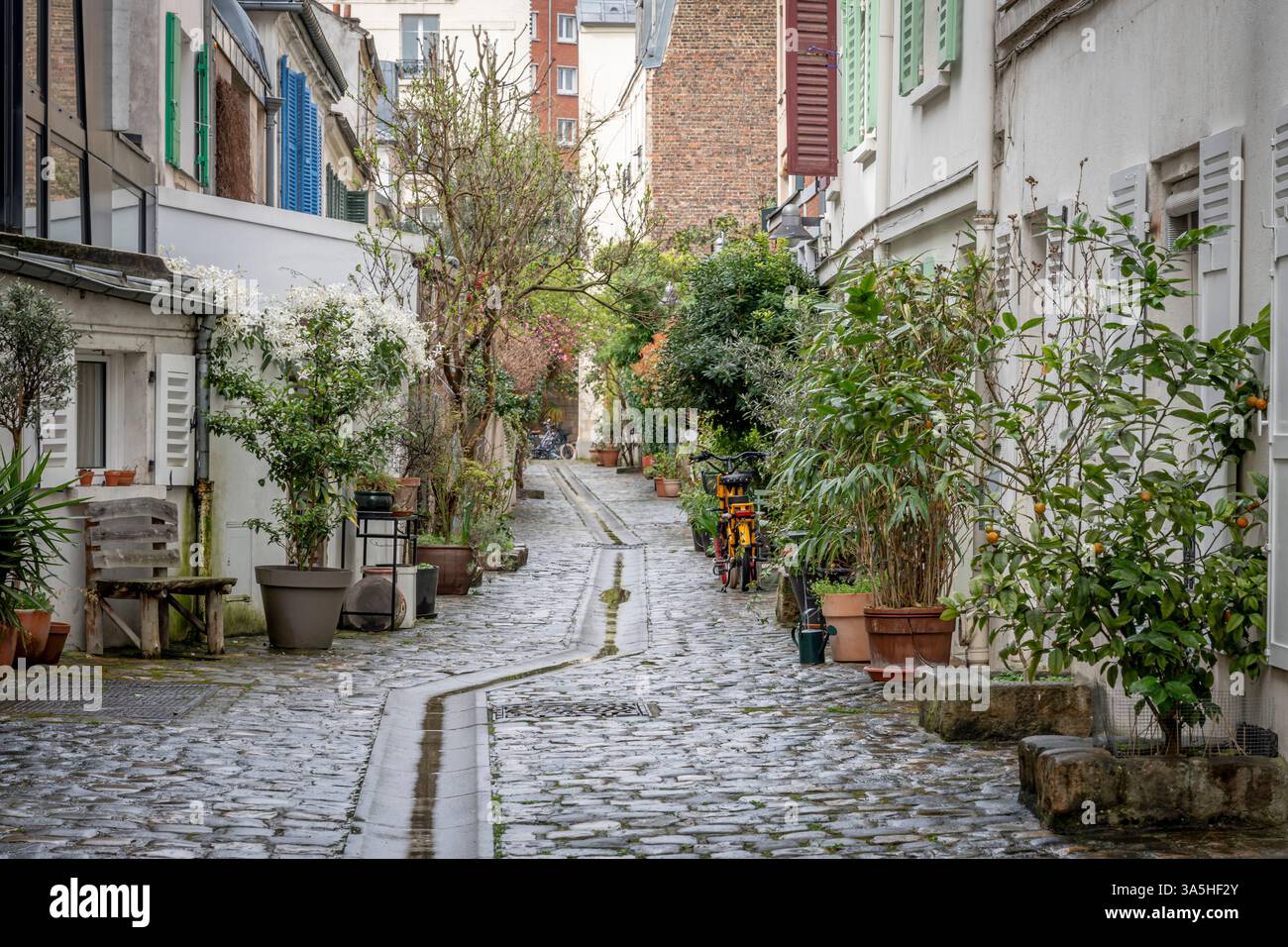 Paris, France - 03 22 2025: View a typical Parisian private cobbled ...