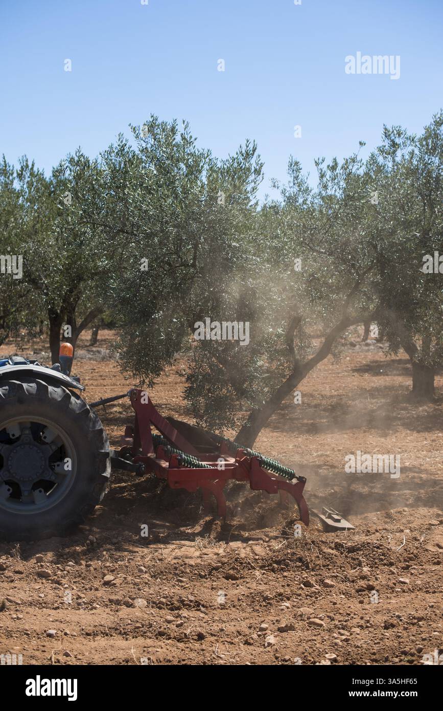 Farm field tractor cultivating trees hi-res stock photography and ...