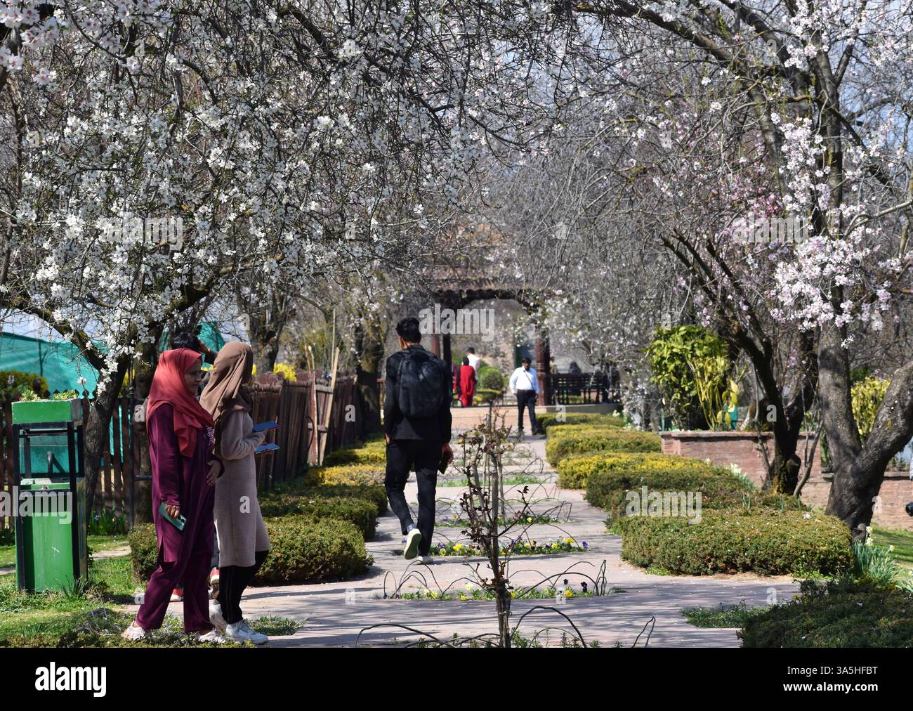 Srinagar, India. 21st Mar, 2025. Indian tourists enjoy look the white ...