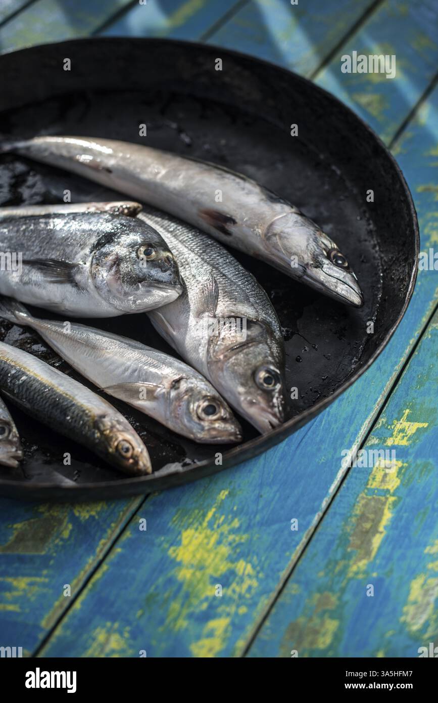 Raw fish. Sea bream, sea bass, mackerel and sardines. Blue wooden ...
