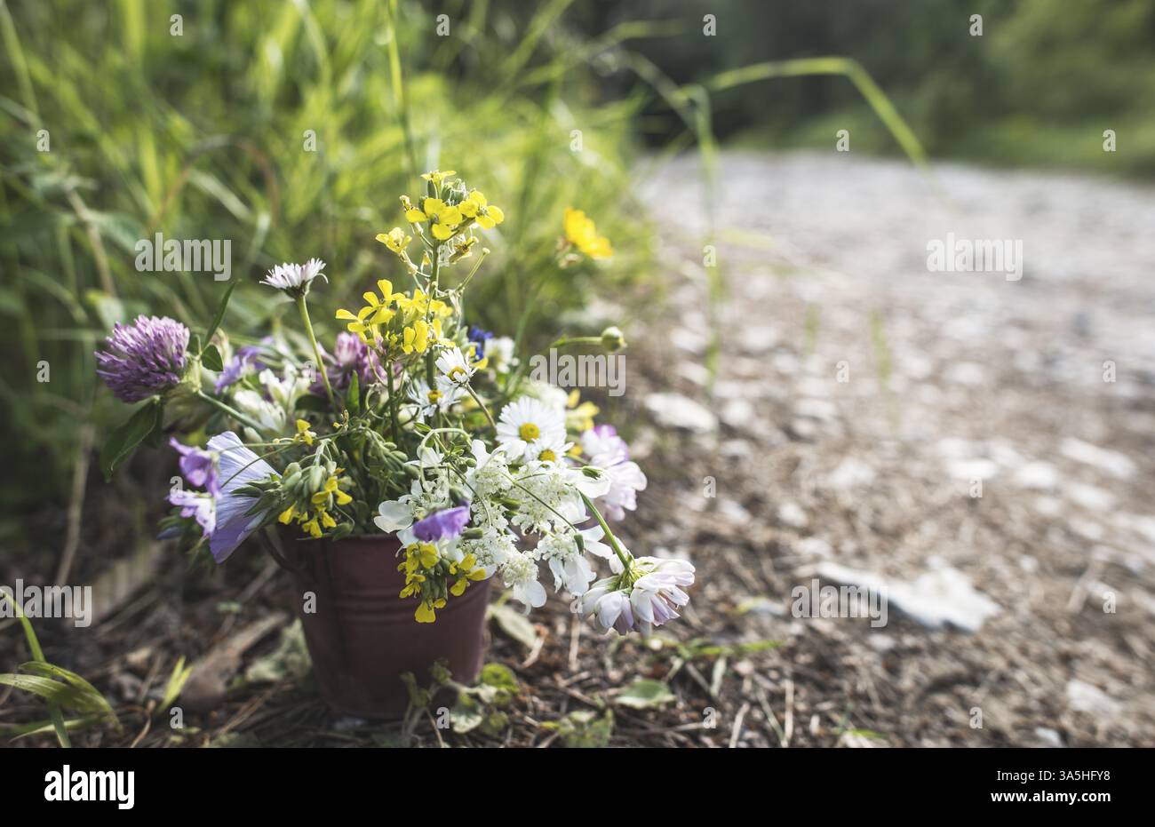 Wildflowers in container hi-res stock photography and images - Alamy
