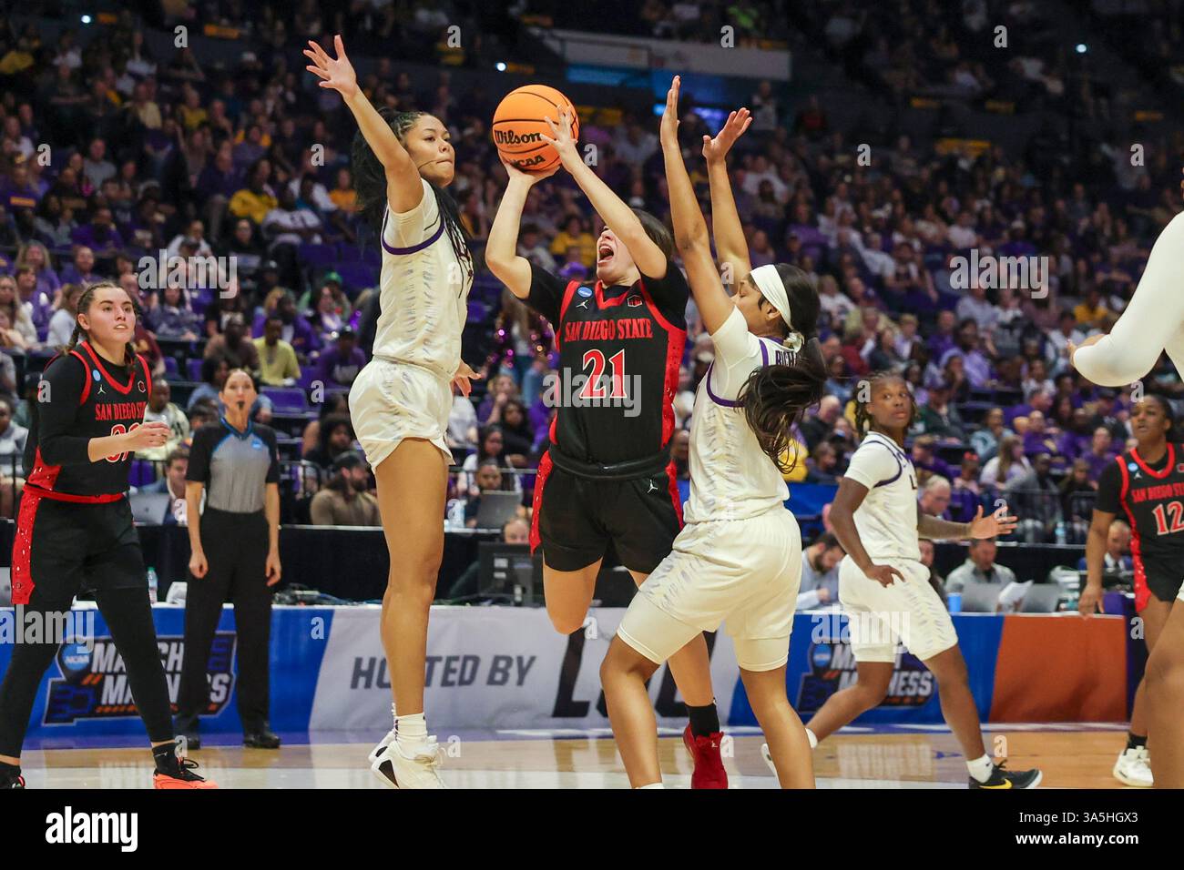 San Diego State Aztecs guard Nat Martinez (21) shoots a layup between ...