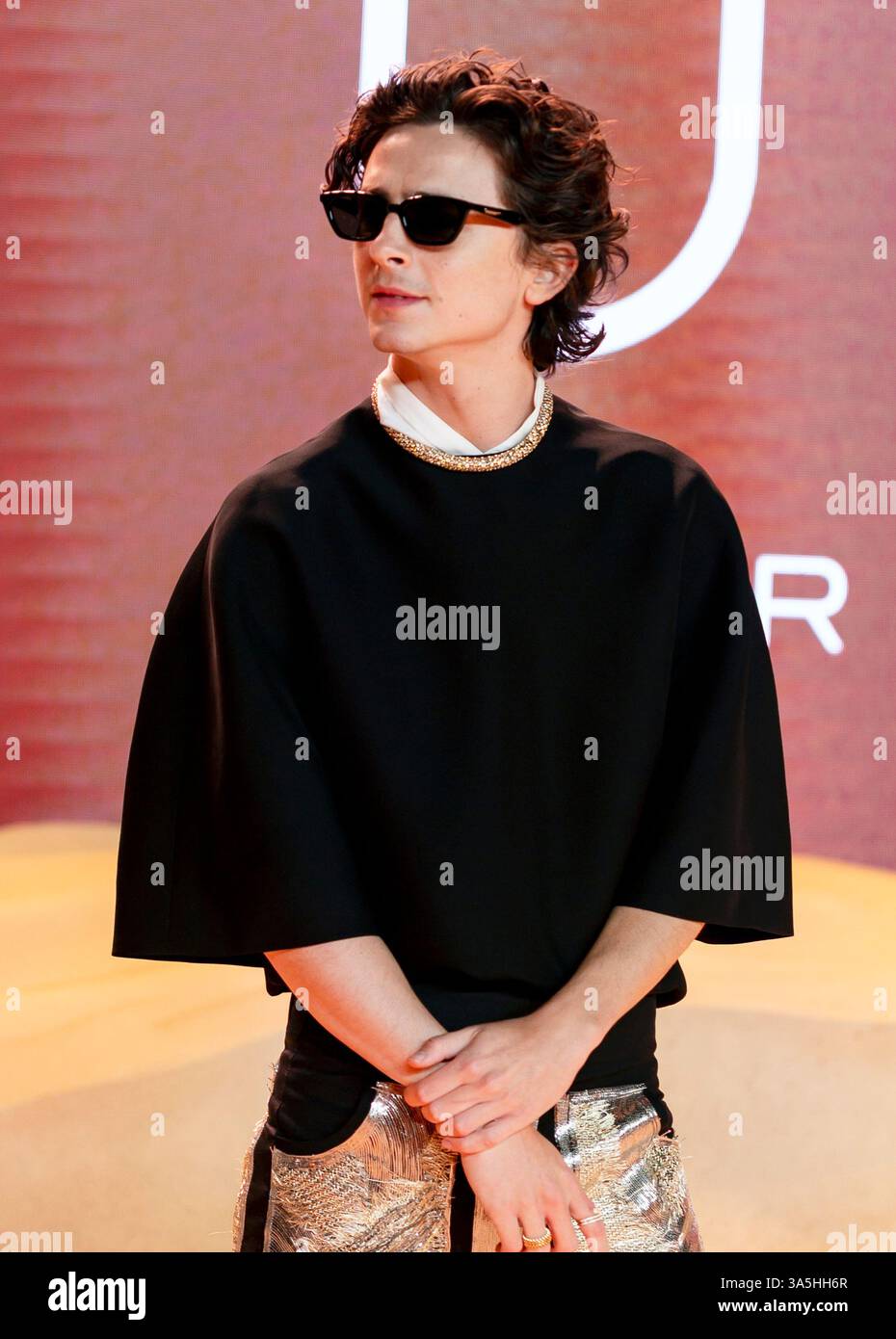 Timothée Chalame attends the World Premiere of "Dune: Part Two ...