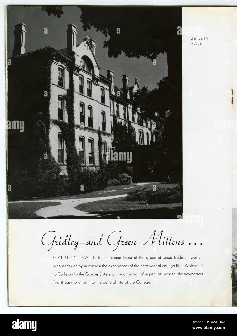 Extracurricular activities it highlighted student organizations hi-res ...