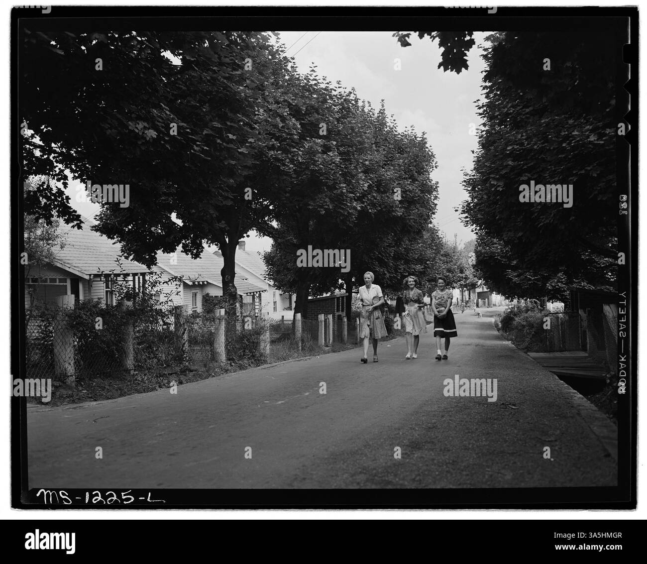 A typical surfaced street with houses in the company housing project at ...