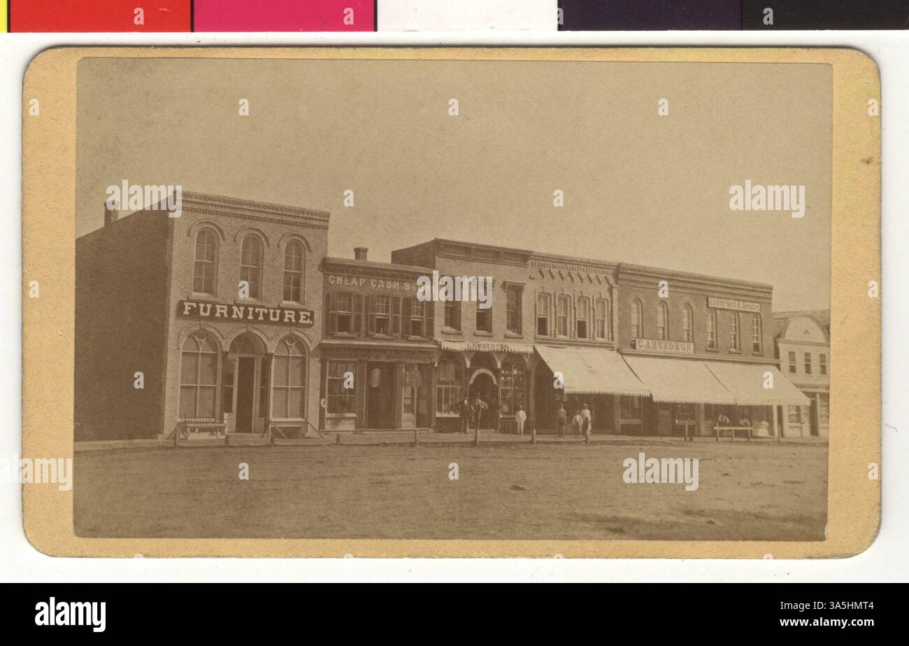 This photograph shows the east side of the 200 block of South Minnesota ...