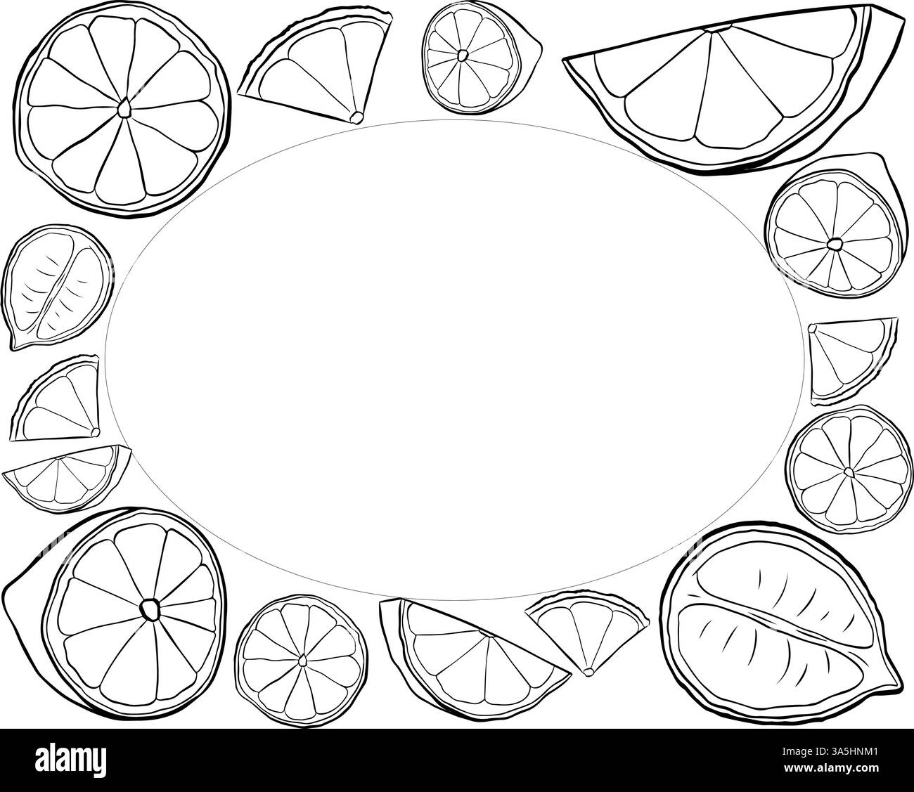 Citric black and white lemon slices rectangle frame. Vector graphic ...