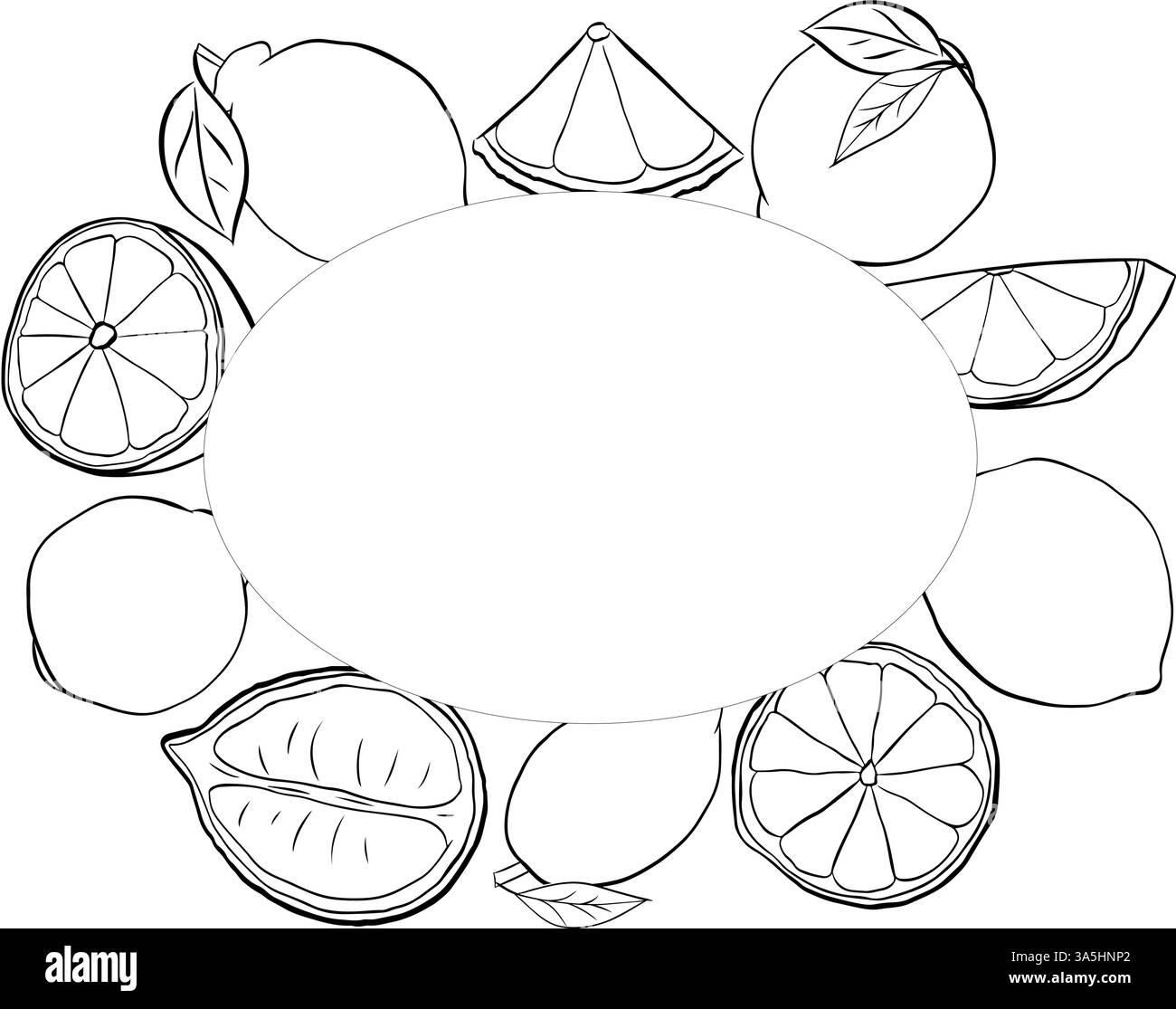 Lemon fruit branch frame hi-res stock photography and images - Alamy