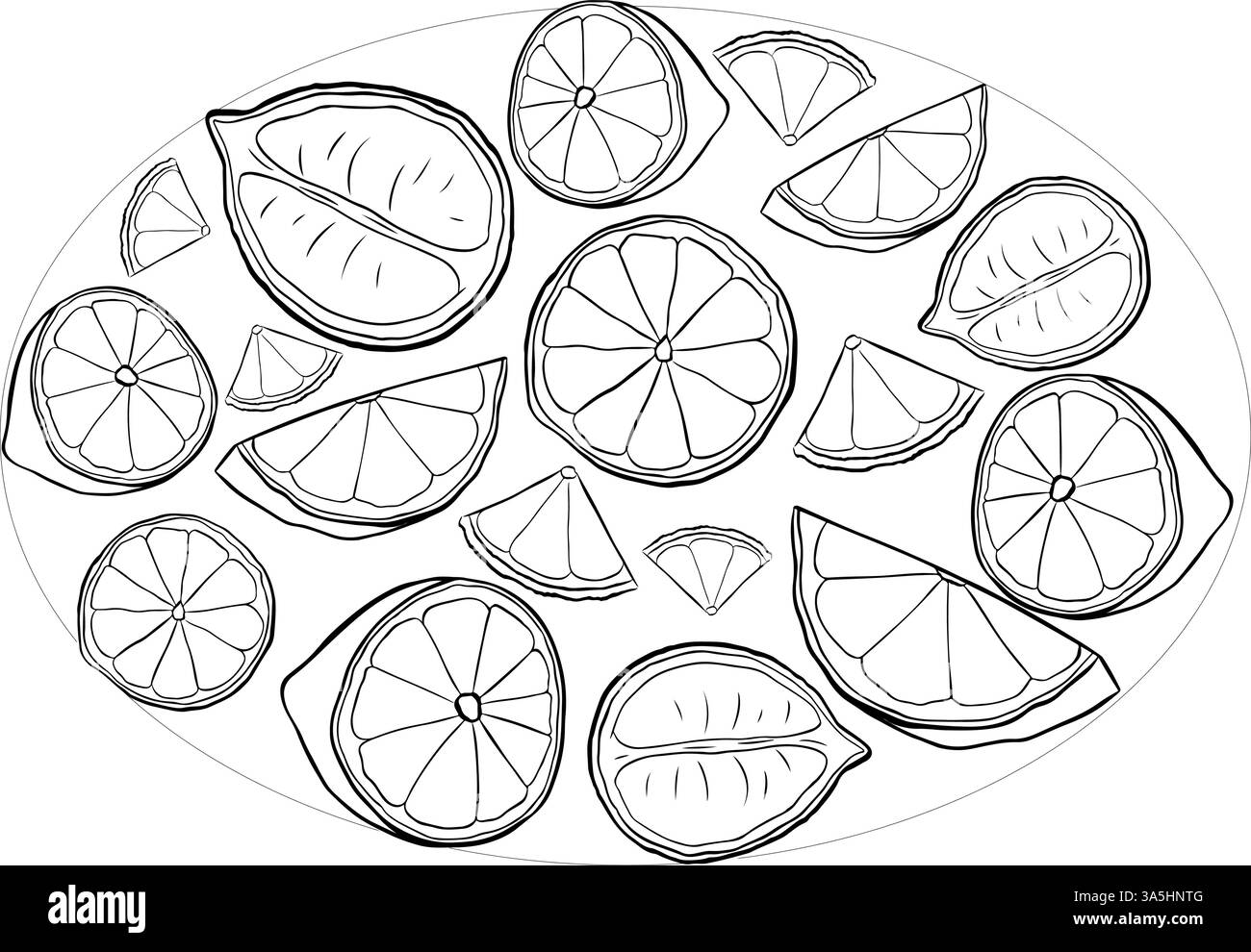 Black and white lemon slices rectangle frame. Vector graphic line ink ...