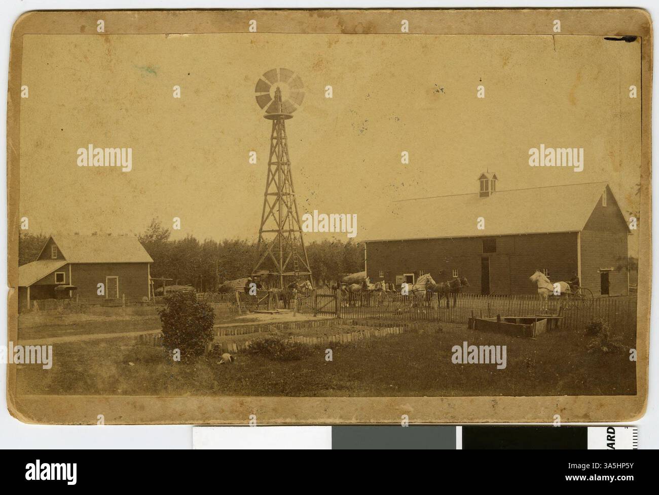 This photograph shows Lars Tostenson’s farm in New Sweden Township ...