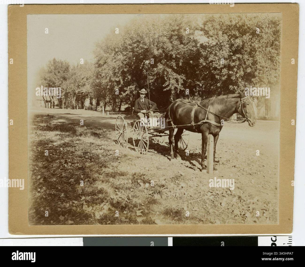 Harry hedberg hi-res stock photography and images - Alamy