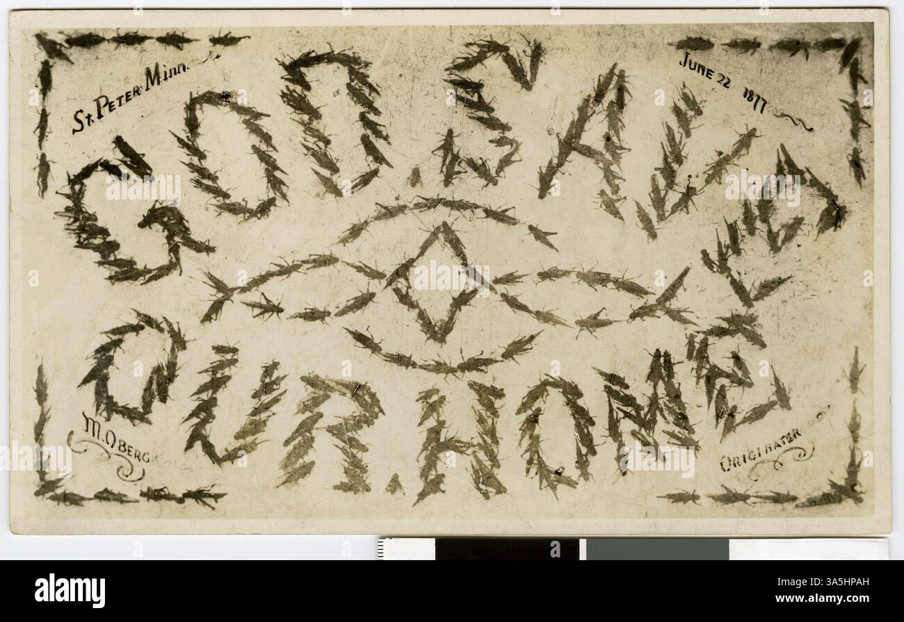 This card illustrates the locust invasion of Nicollet County and ...