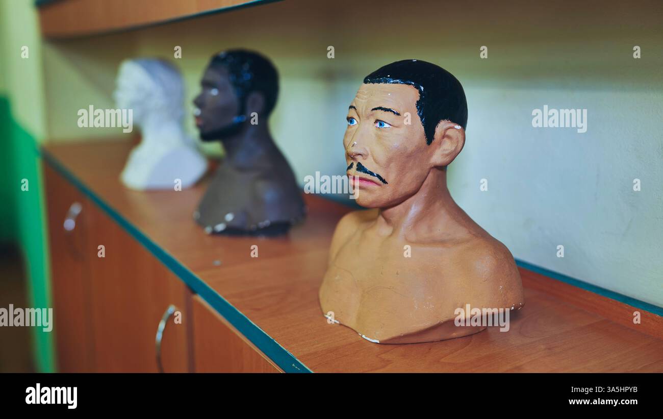 Plaster busts of caucasian, asian, and african ethnic groups are ...