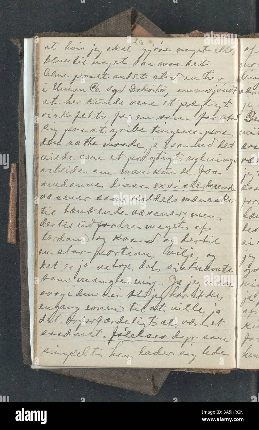 The 1896 diary of Ole E. Rølvaag provides a detailed personal account ...