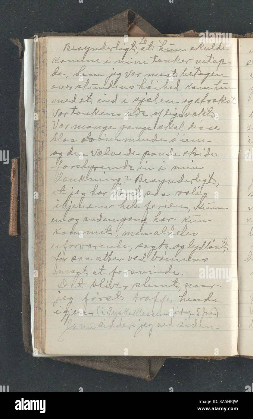 This historical diary by Ole E. Rølvaag, written in 1896, provides an ...