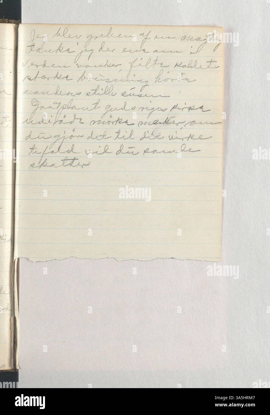 Ole E. Rølvaag’s 1896 diary provides a detailed account of his ...