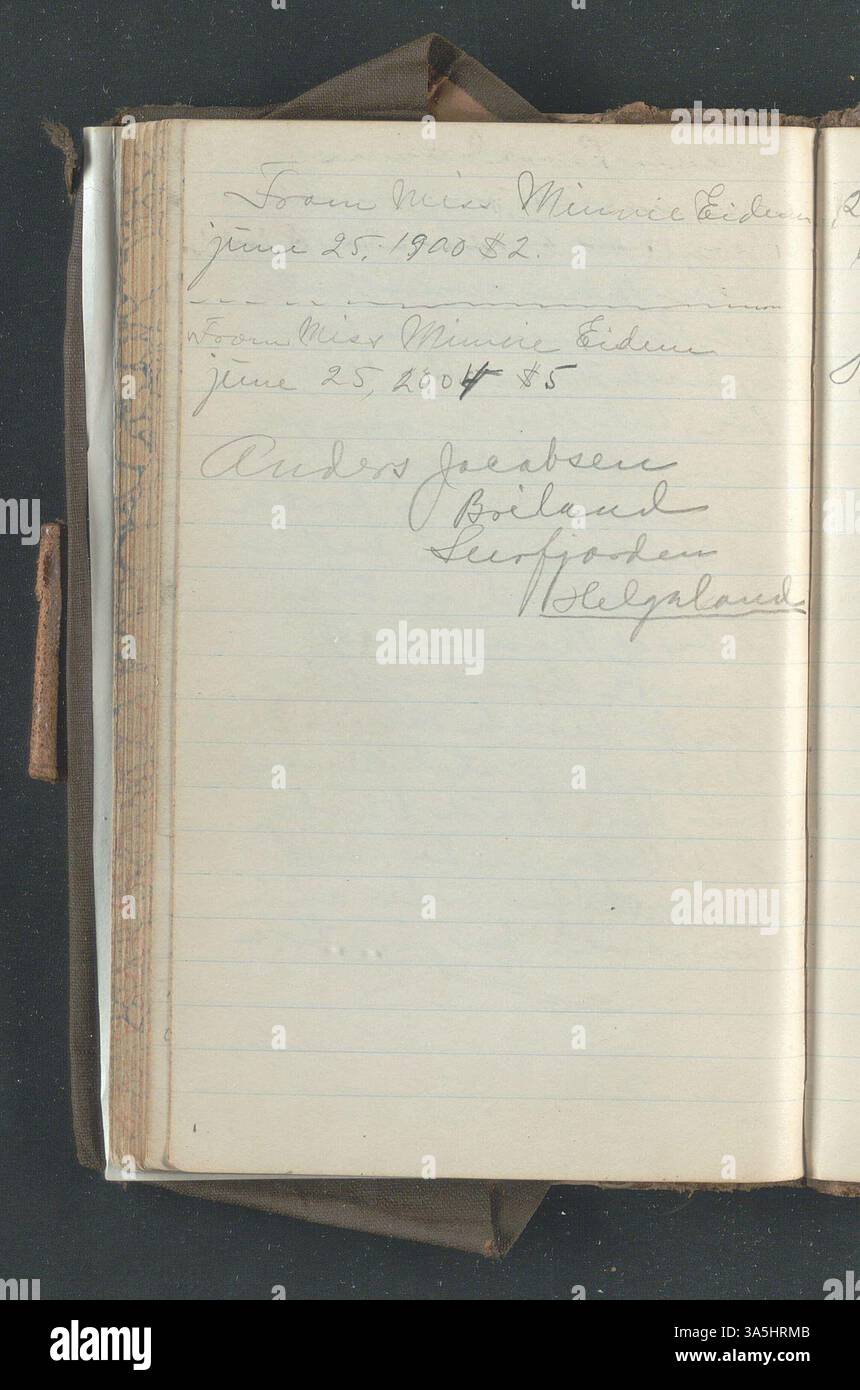 Ole E. Rølvaag’s 1896 diary provides a detailed description of his ...