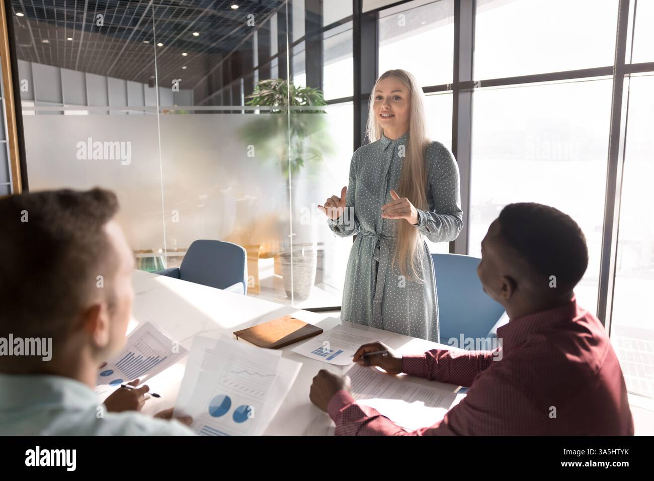 Leader presenting project details hi-res stock photography and images ...