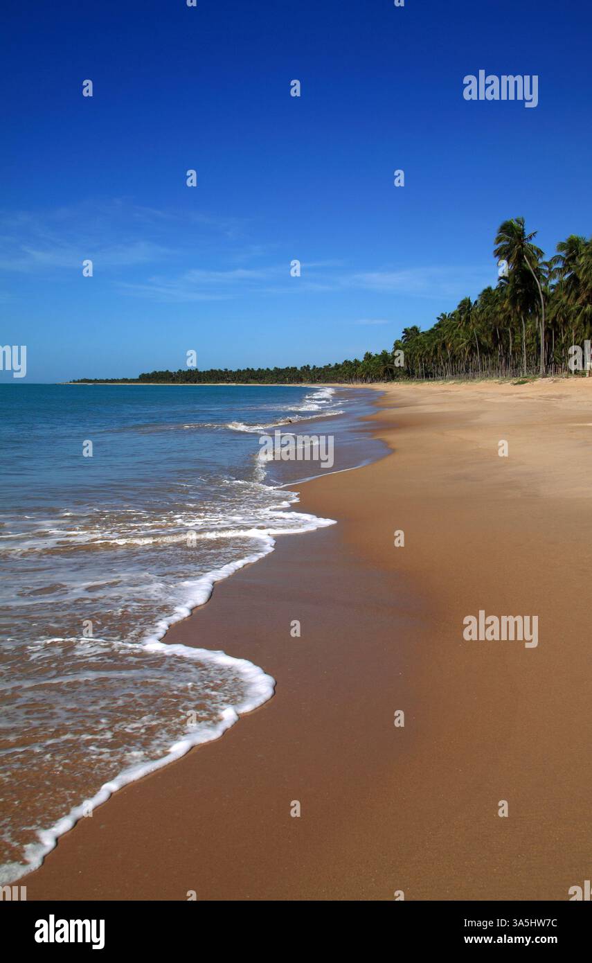 Brazil, Alagoas State, Maceio. Deserted, pristine, exotic tropical palm ...