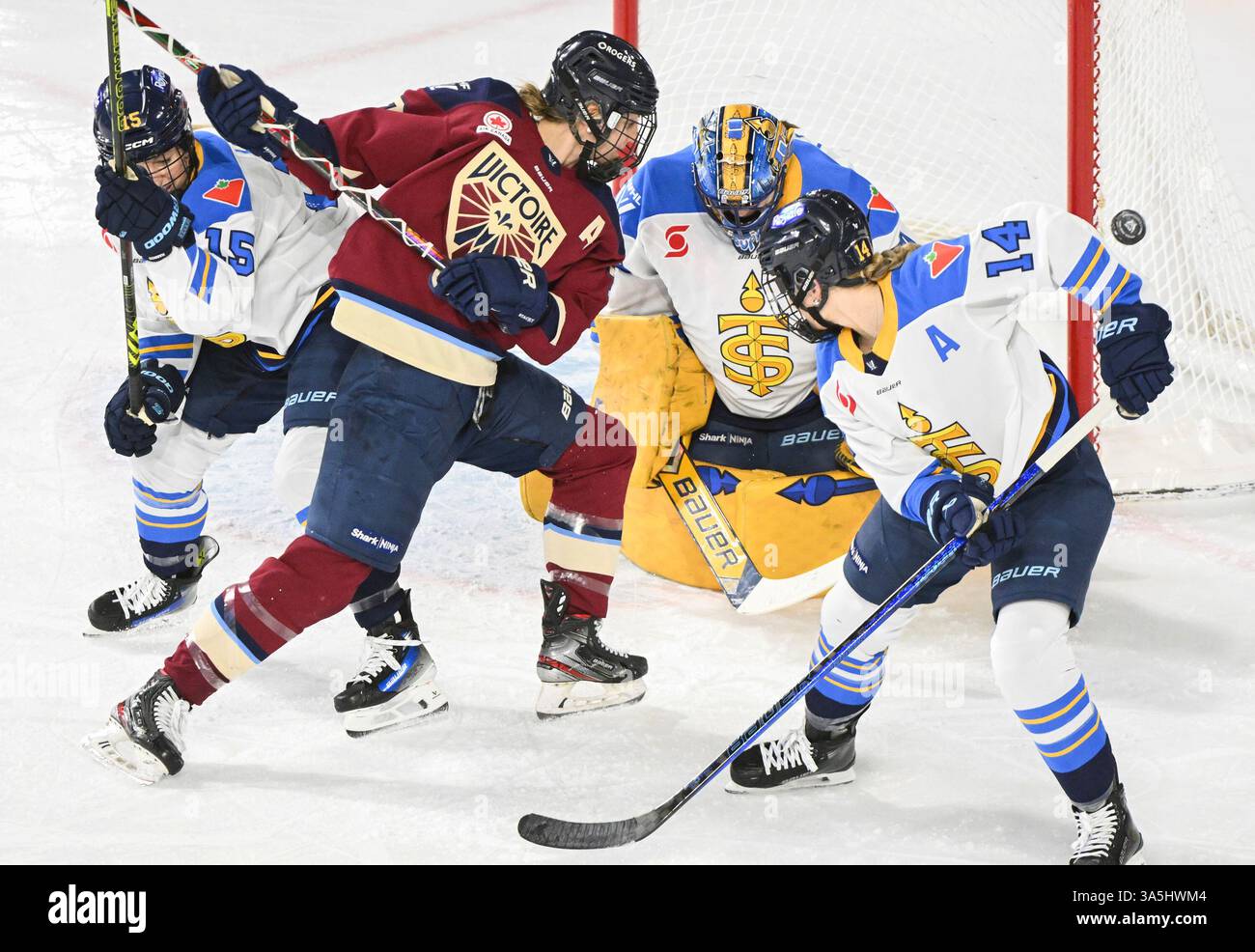 Montreal Victoire's Laura Stacey (7) moves in on Toronto Sceptres ...