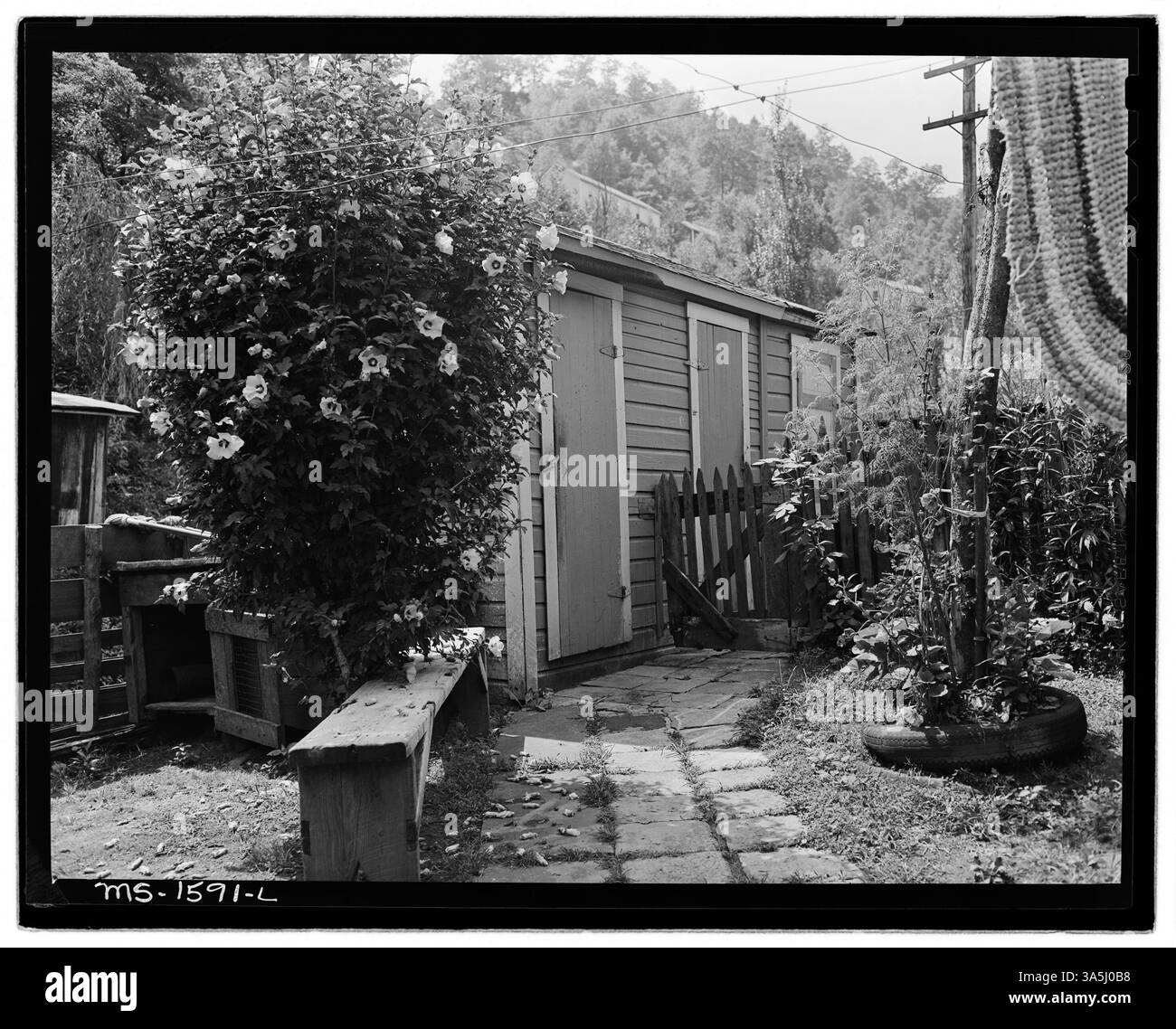 Sanitary living Cut Out Stock Images & Pictures - Alamy