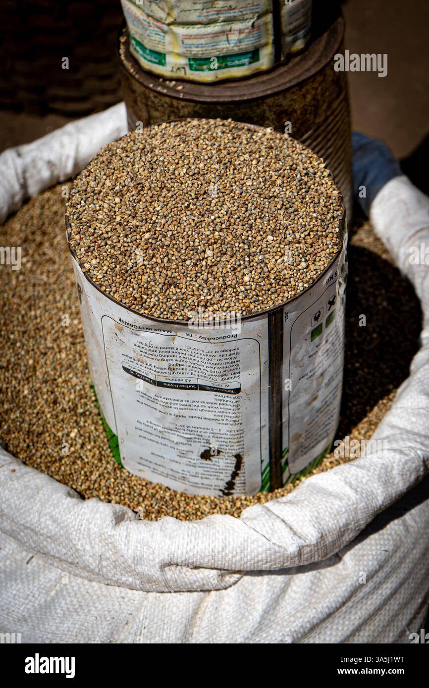Millet Grains Displayed in a Reused Tin Can on Sack – Tete, Mozambique ...