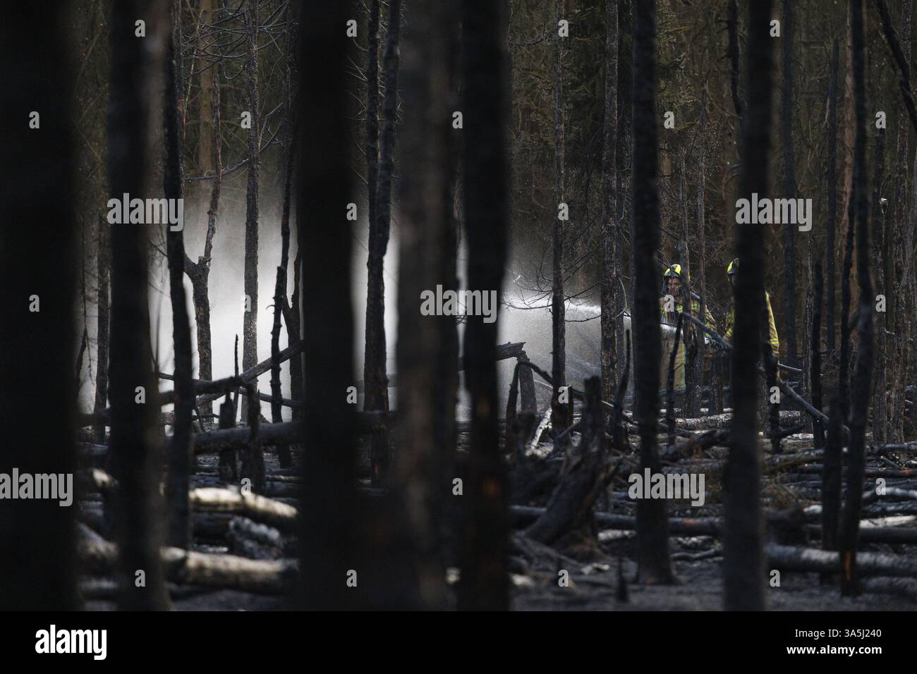 A heavy fire is currently raging in the Clingse woods, just across the ...