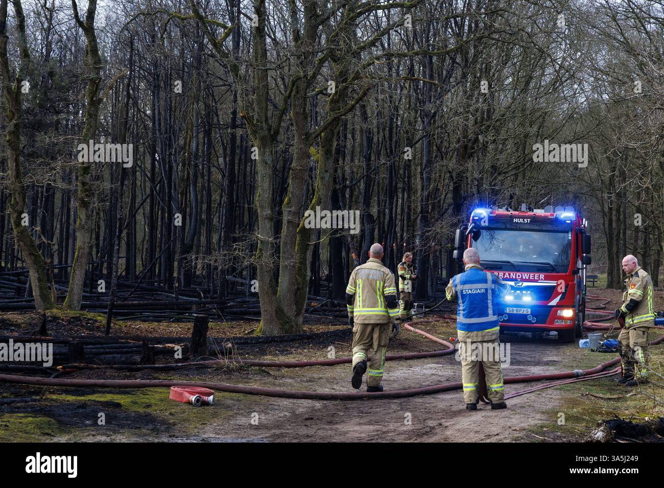 A heavy fire is currently raging in the Clingse woods, just across the ...