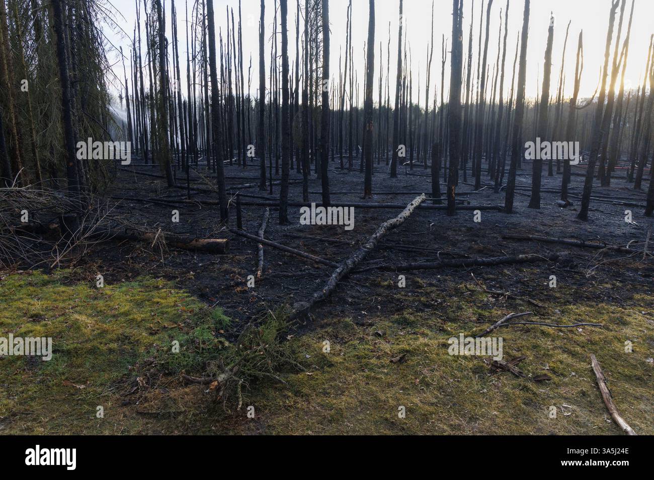 De Klinge, Belgium. 23rd Mar, 2025. A heavy fire is currently raging in ...