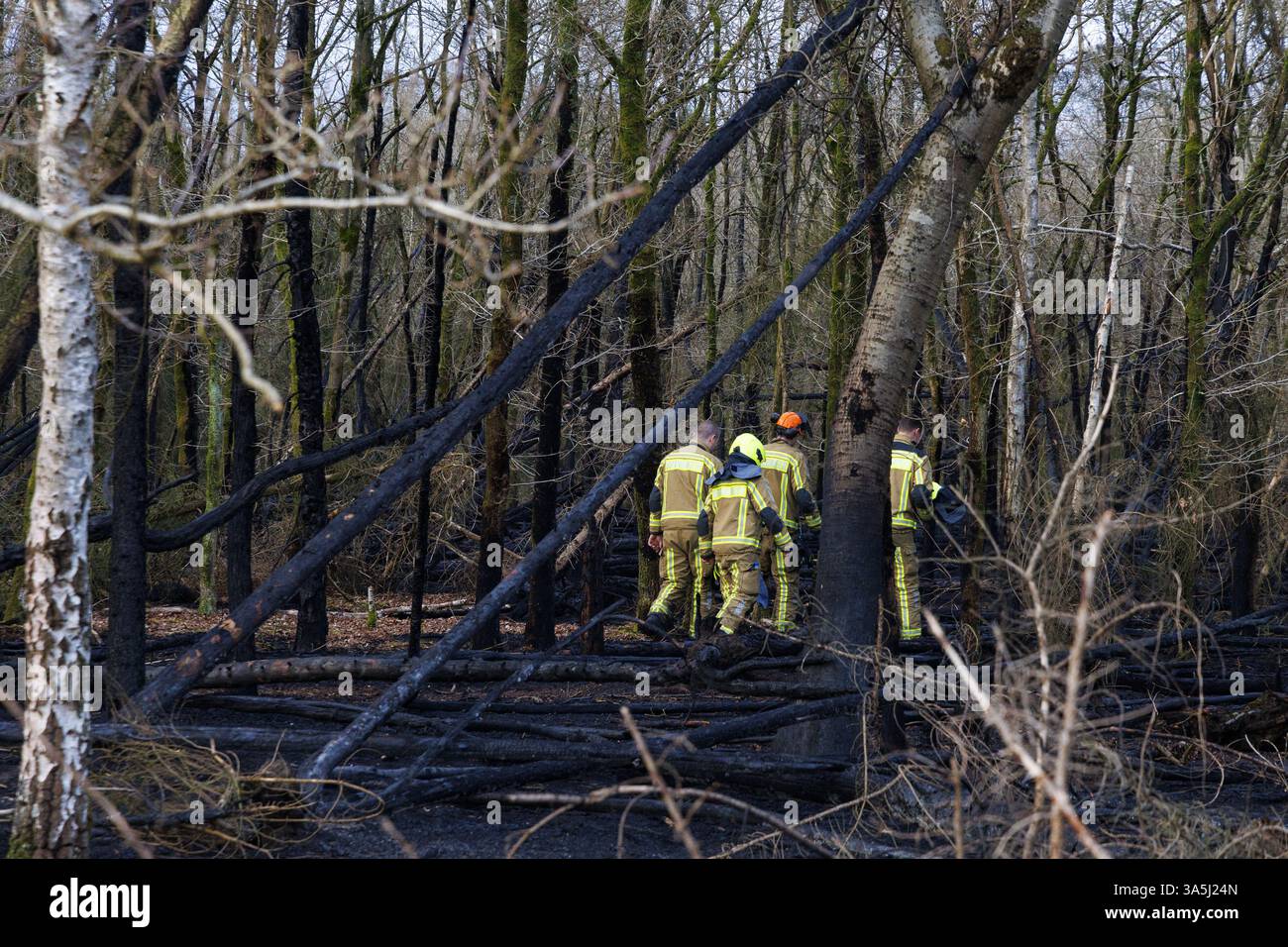 A heavy fire is currently raging in the Clingse woods, just across the ...