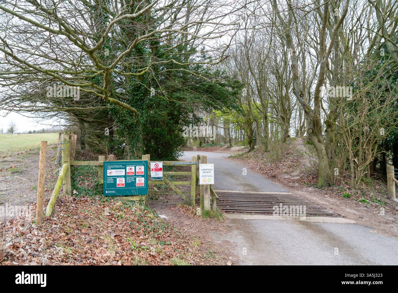 Gateway entrance to Danebury Hill Fort with cattle grid and information ...