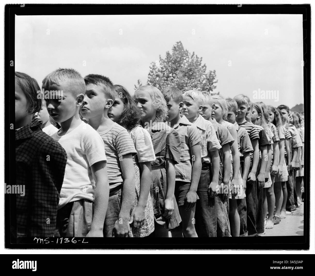Campers at Koppers Recreation Camps form four lines, each representing ...