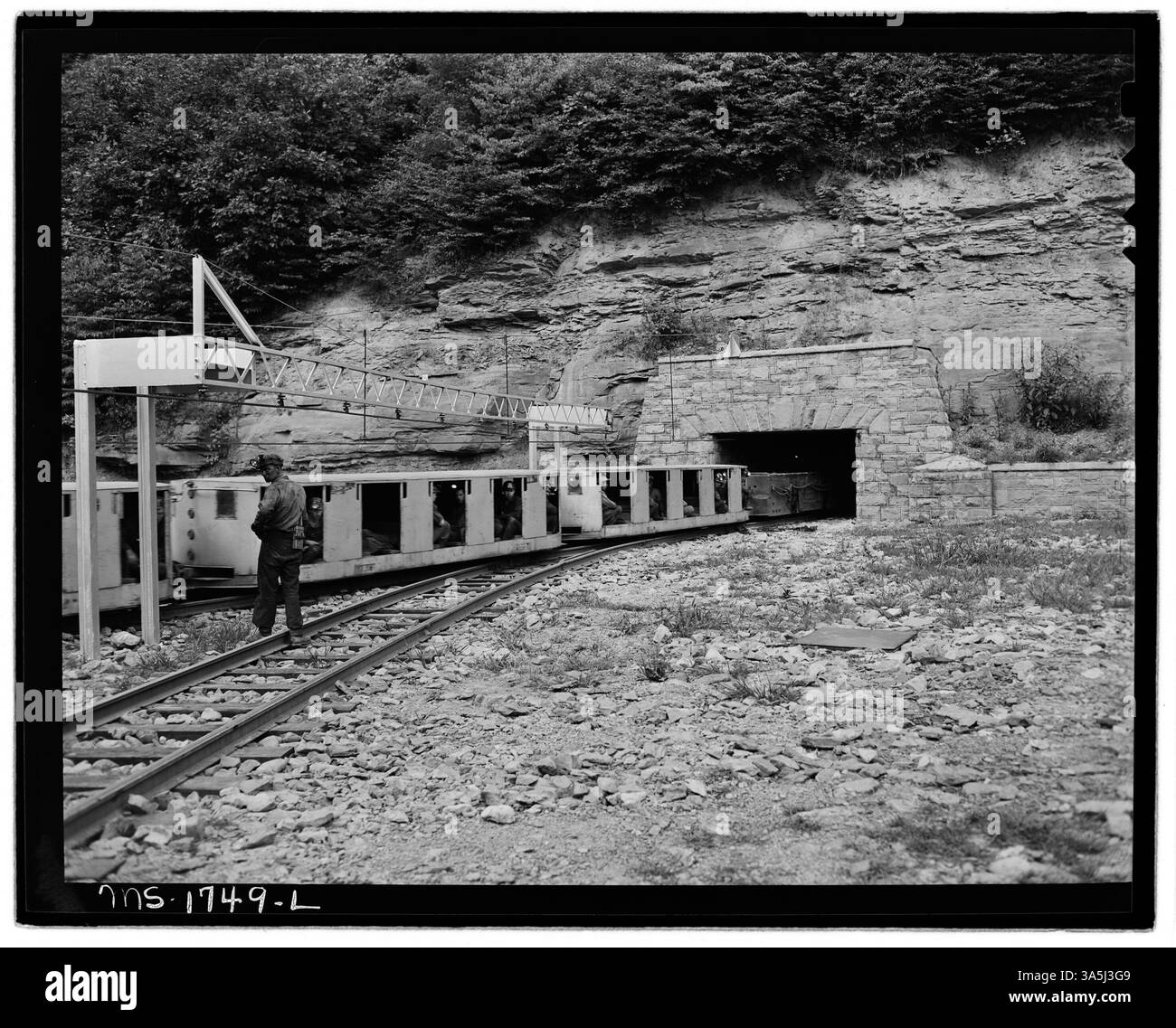 Car division Cut Out Stock Images & Pictures - Alamy