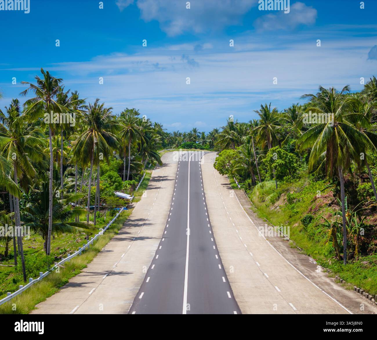 Exotic palm tree road to El Nido at Palawan island, Philippines. Aerial ...