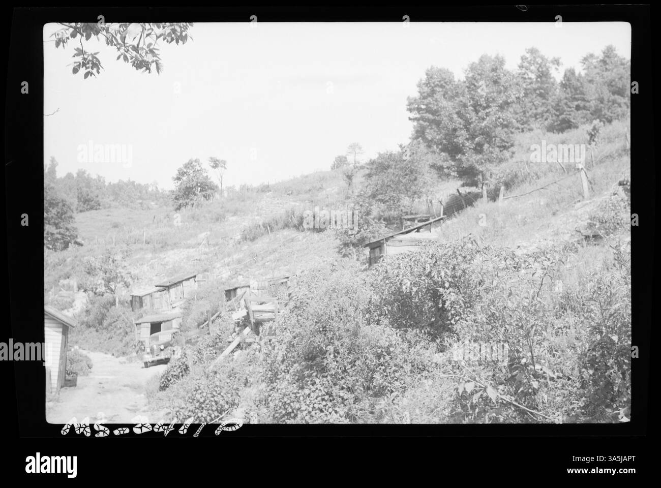 View of hog pens behind houses at Hardy Burlingham Mining Company’s ...
