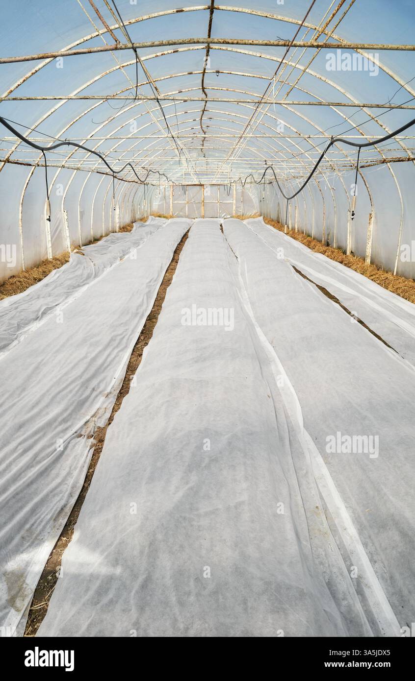 Organic vegetable polytunnel farm with nonwoven agrotextile covering ...