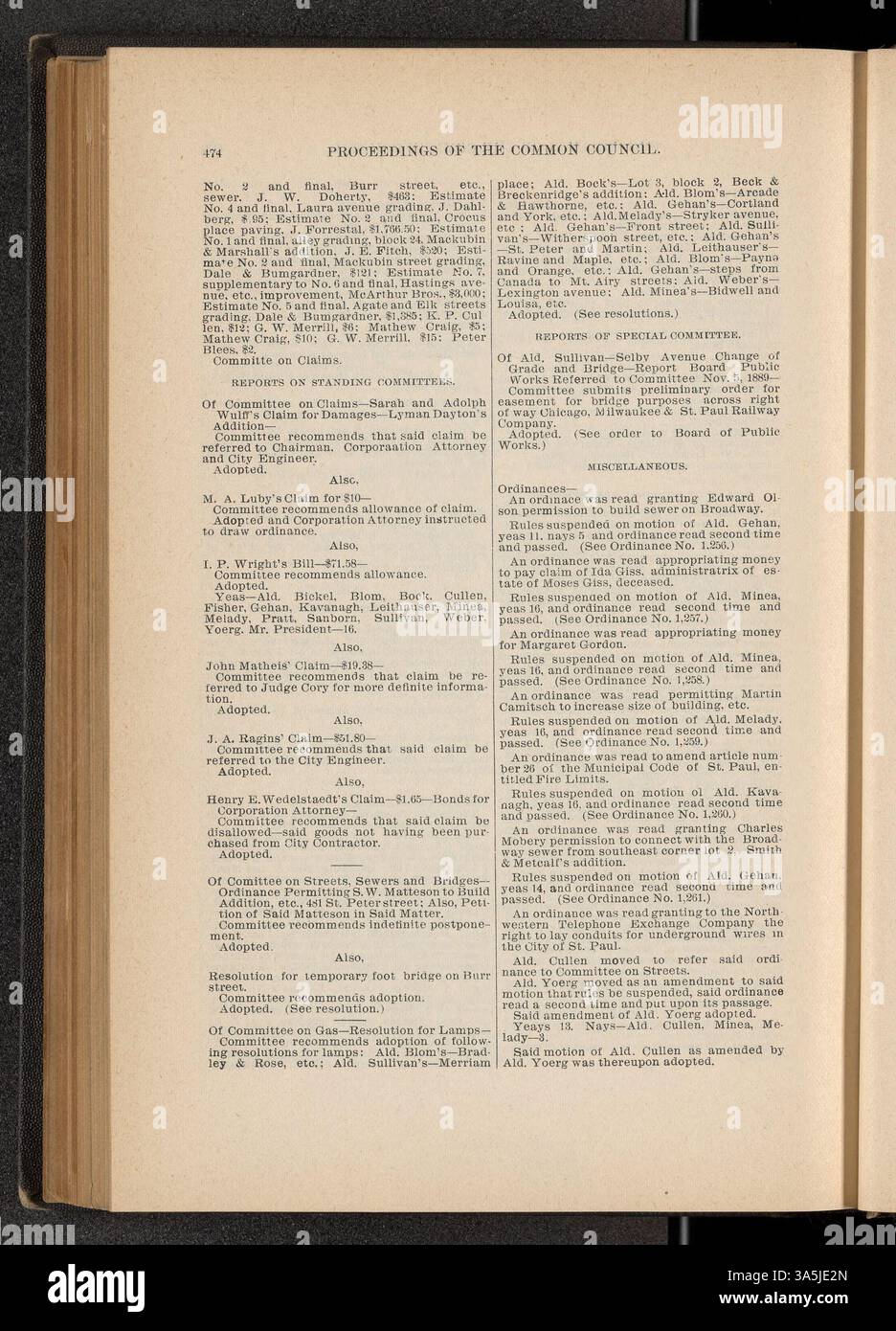 This record includes the minutes of the 1889 common council hi-res ...