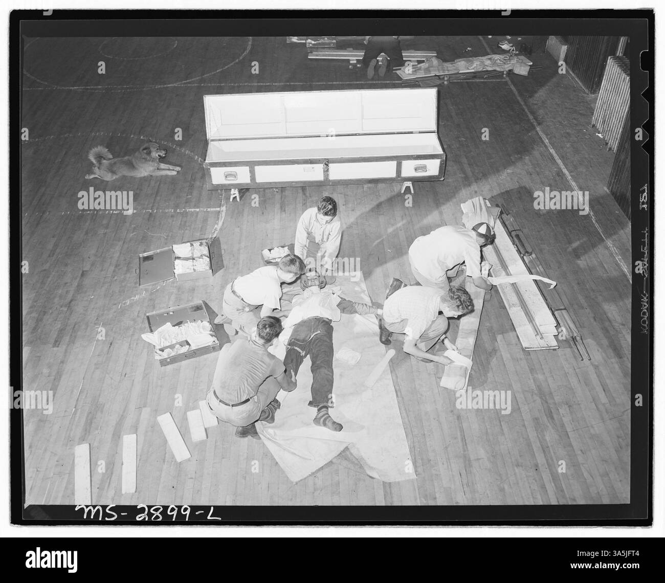 First aid training on Cut Out Stock Images & Pictures - Alamy