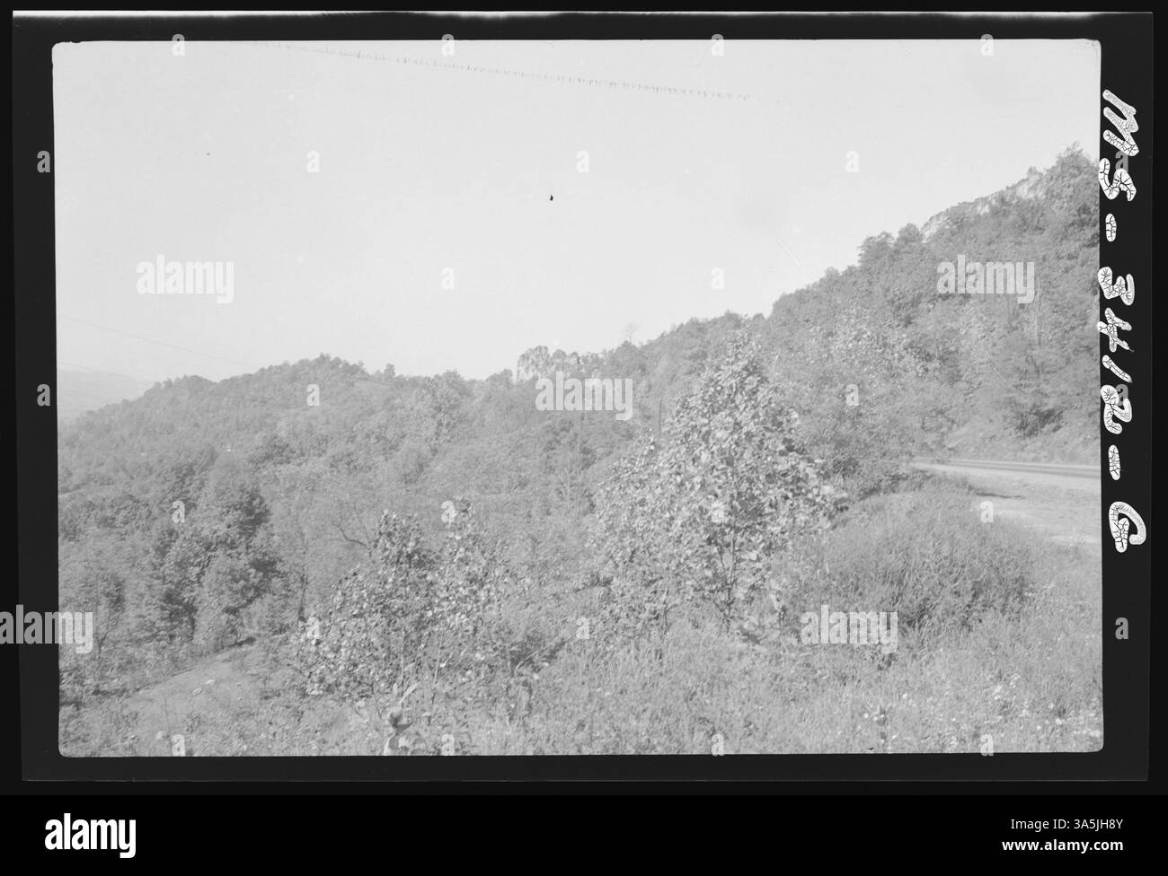 A 1946 photograph of the countryside, capturing the rural landscape ...