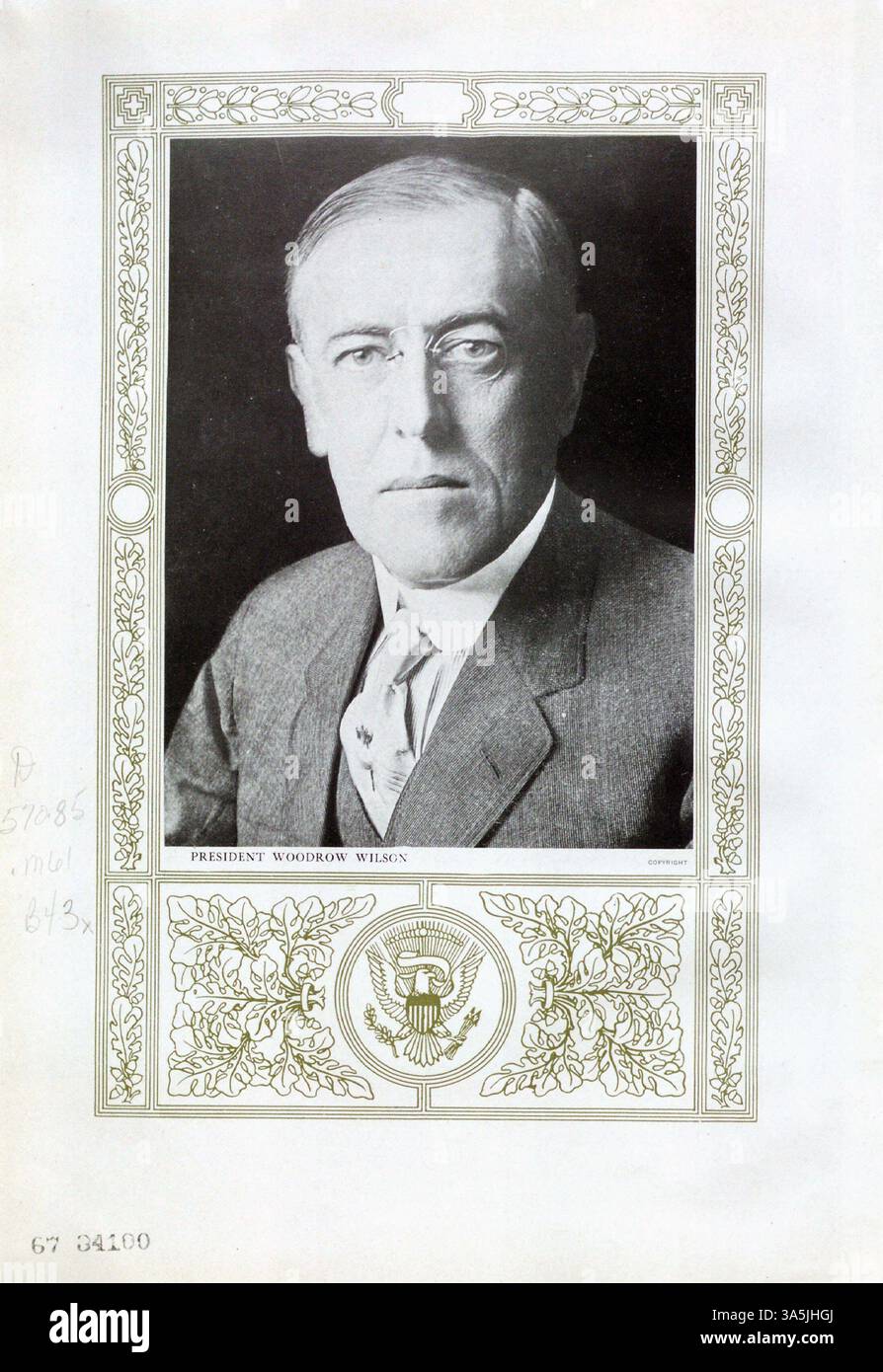 This book focuses on the World War I service of individuals from Becker ...