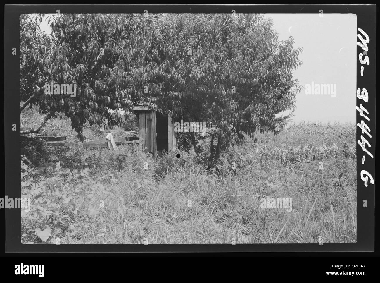 This image depicts a traditional outhouse, commonly used in rural areas ...