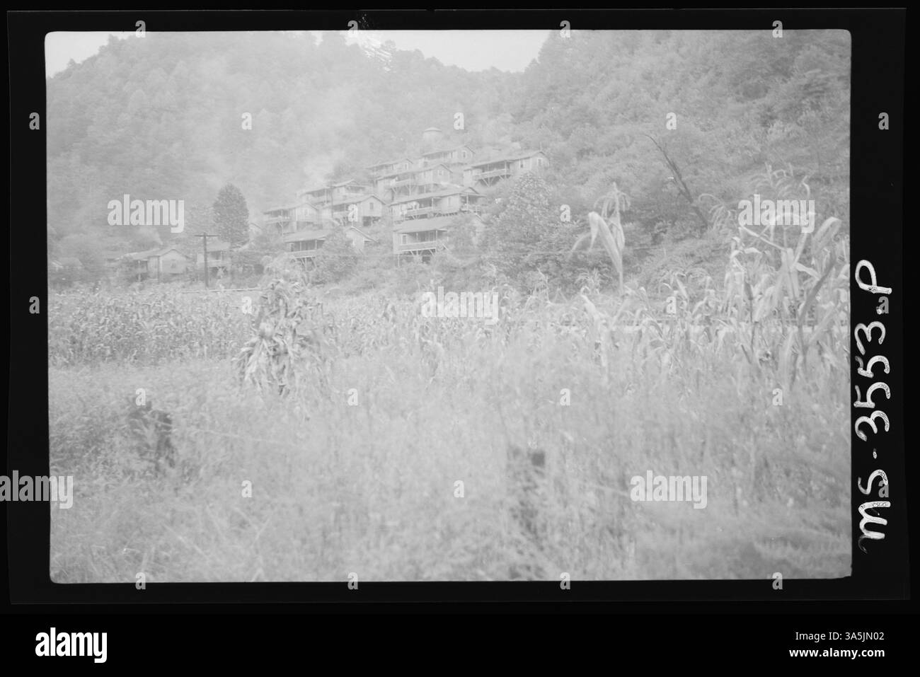 A general view of the Black section of the camp at Amherstdale, near ...