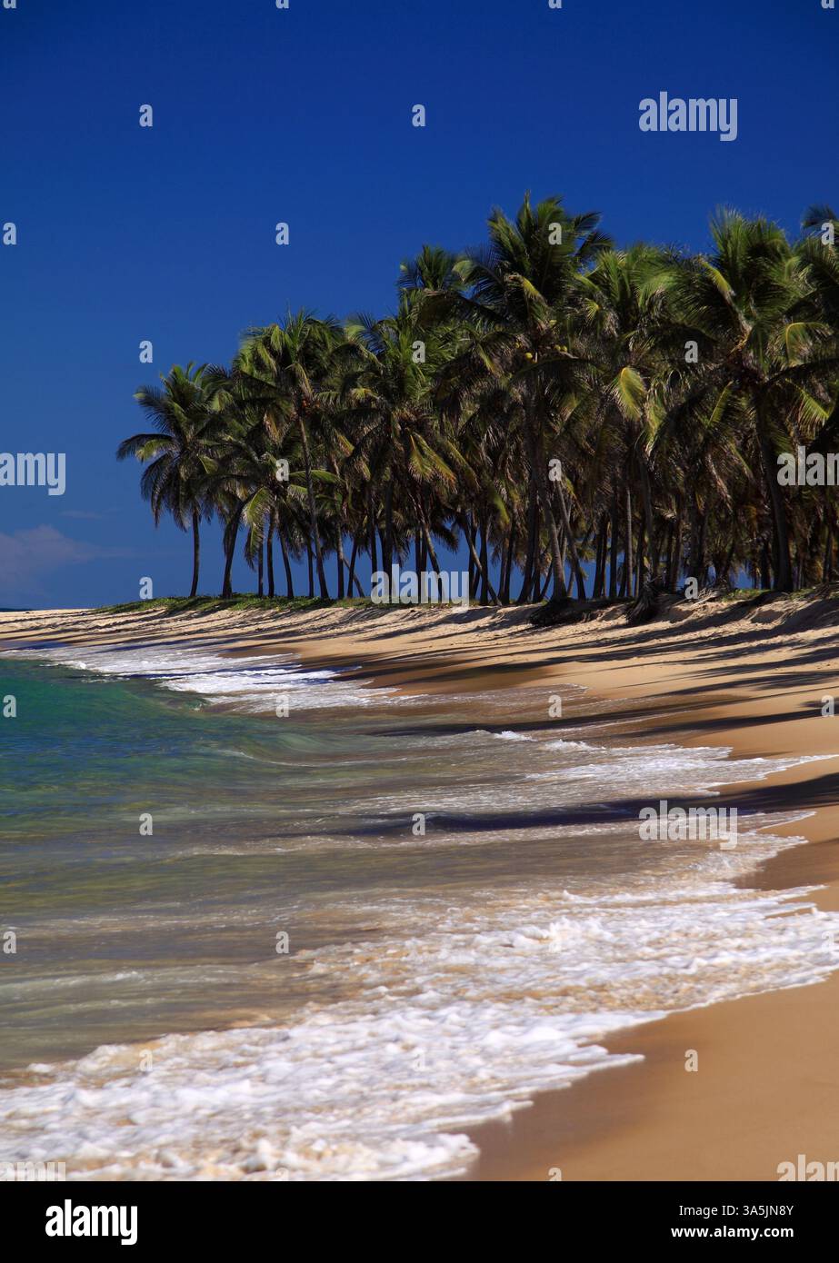 Brazil Alagoas State Maceio Gunga deserted exotic tropical palm-lined ...