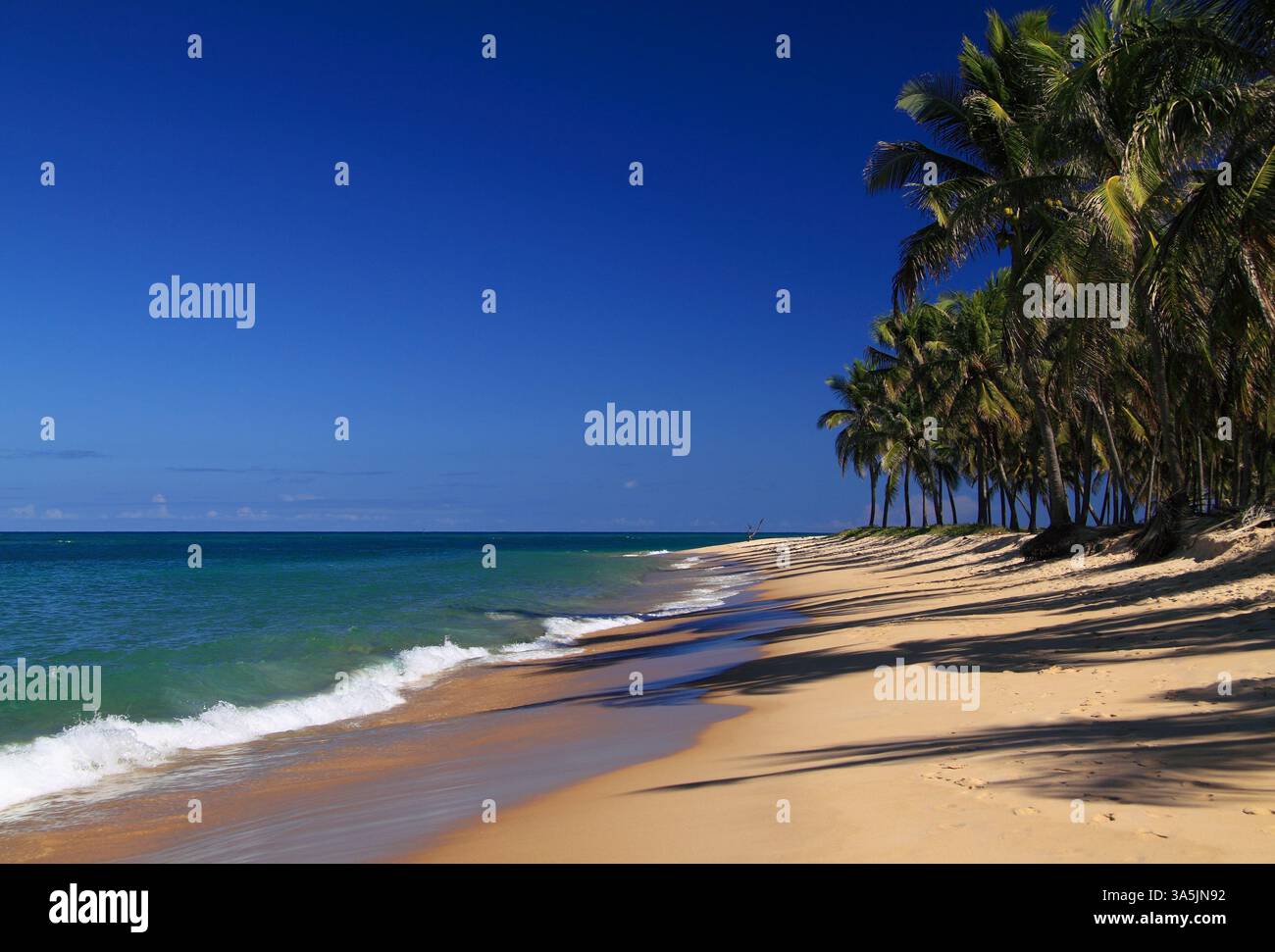 Brazil Alagoas State Maceio Gunga deserted exotic tropical palm-lined ...